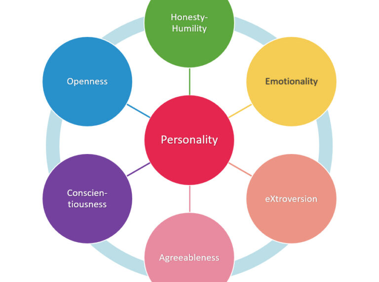 Test de personnalité HEXACO : votre profil psychologique en 6 dimensions