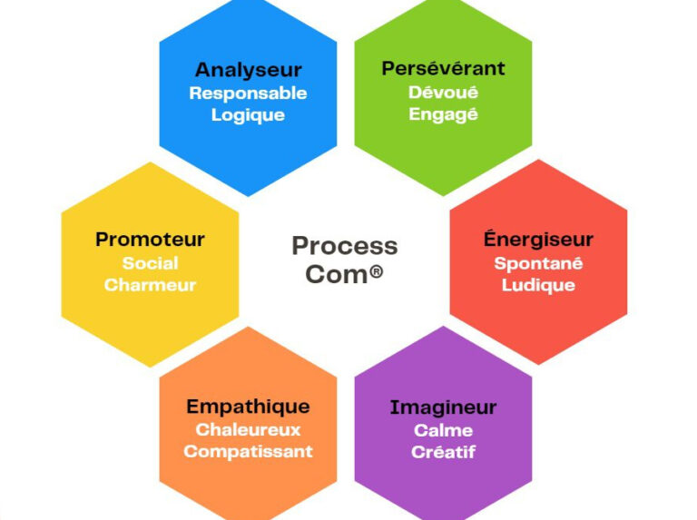 Test Process Communication Model (PCM) : améliorez vos relations